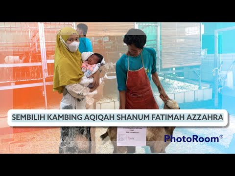 Sembelih kambing aqiqah Shanum Fatimah Azzahra binti Ricki Radiansyah