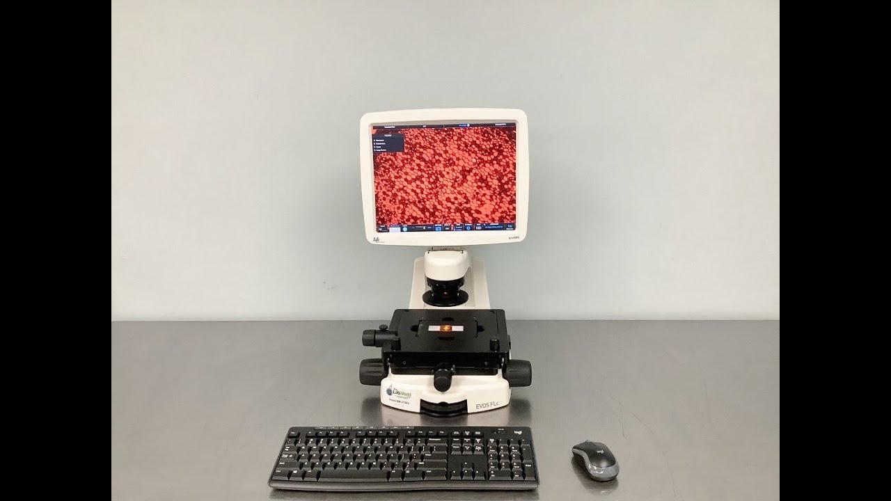 Thermo EVOS FL Fluorescence Microscope ID 27583 - YouTube