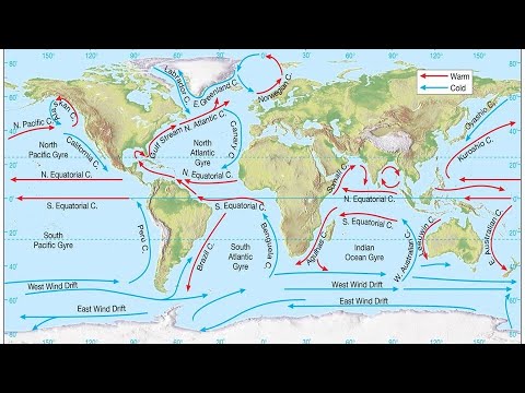 MOVEMENTS OF OCEAN WATER | PART 3 | OCEAN CURRENTS | Chp 14 | CLASS 11 ...