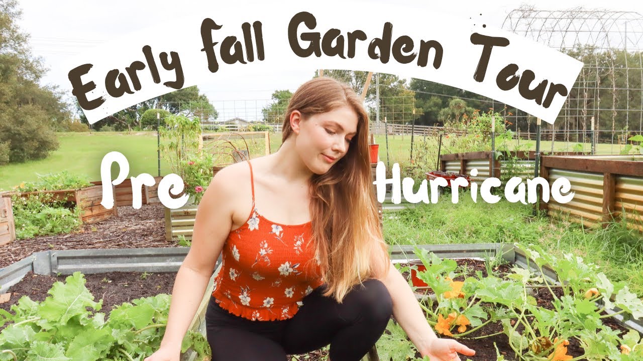 *Florida Fall* Permaculture Garden Tour l It’s Not Too Late To Start A ...