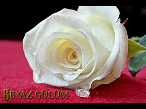 Mehmet&Buluş- Beyaz Gülüm Sevdalanmış