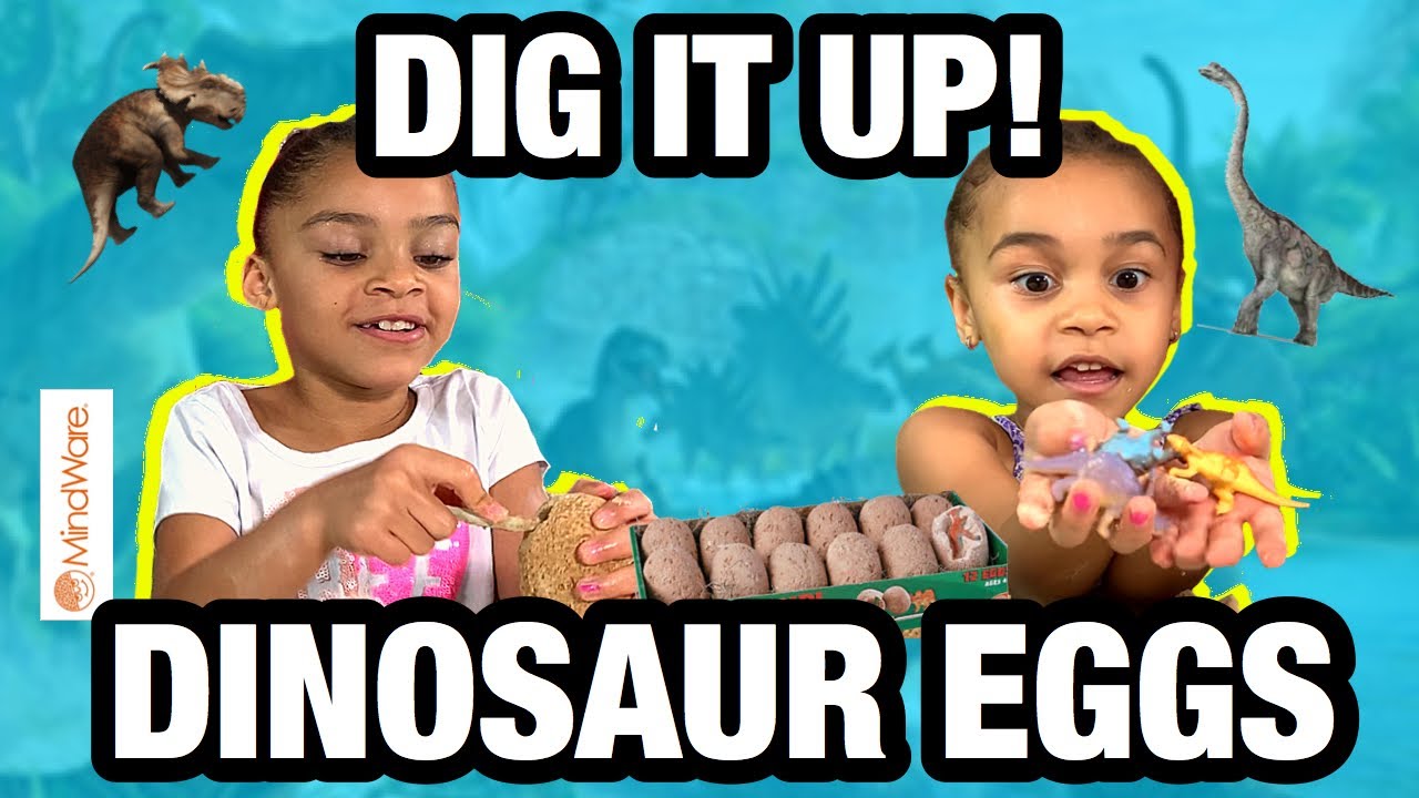 DIG IT UP ! DINOSAUR EGGS || TOY REVIEW - YouTube