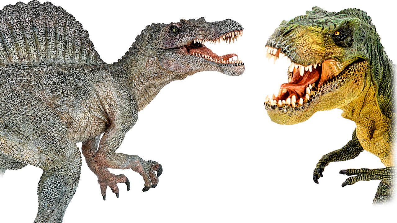 Spinosaurus Facts For Kids Dinosaurs Pictures And Facts Spinosaurus