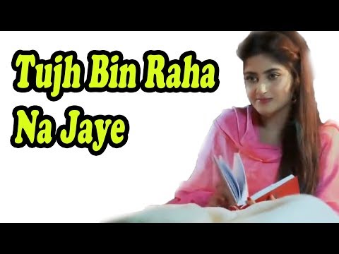 Tujh Bin Raha Na Jaye Full Video Song HD 1080p