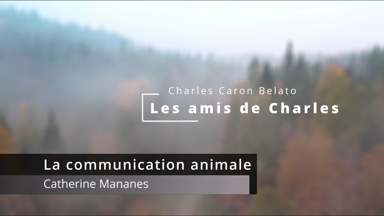 Les amis de Charles Caron Belato S1E1. Catherine Mananes : La ...