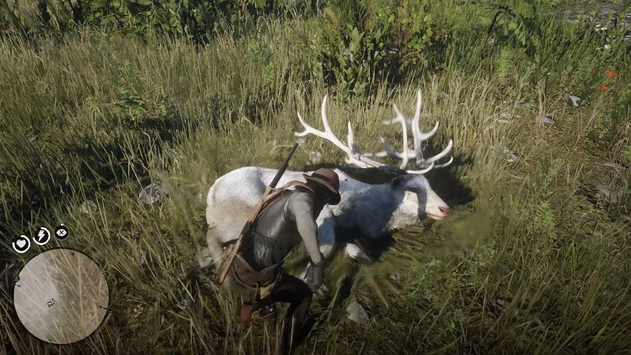 Red Dead Redemption 2 - Legendary Buck caught ! - YouTube