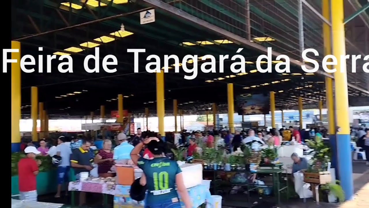 Experimentei o pastel da feira de Tangará da Serra MT - YouTube