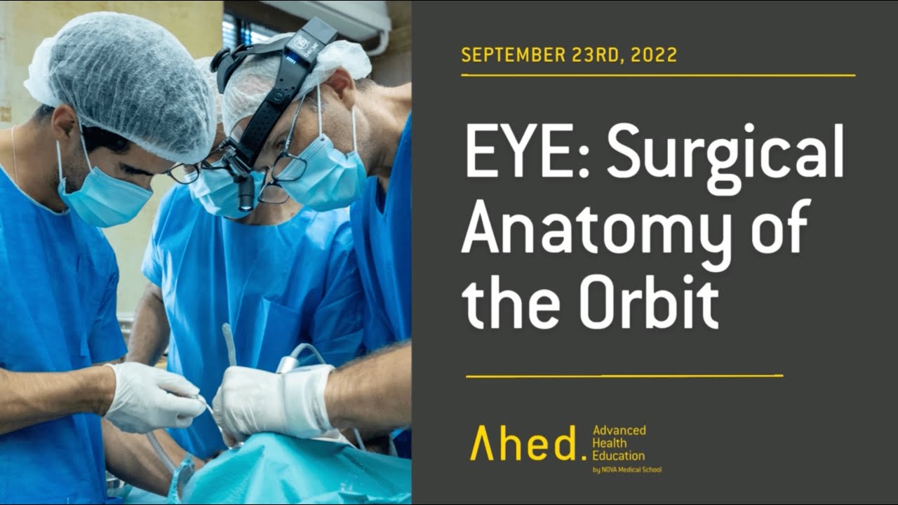 Orbit: Surgical Anatomy of the Orbit - 3rd Edition - YouTube