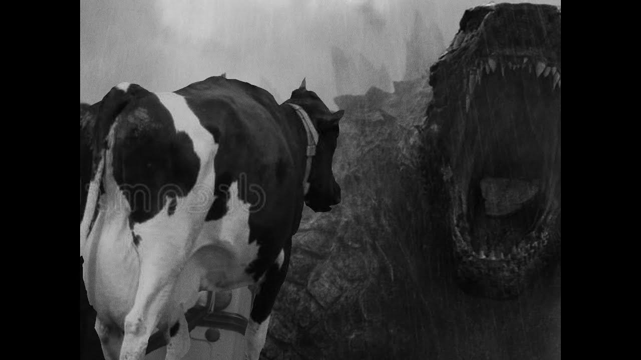 Godzilla vs Cows (photo animation short movie) - YouTube