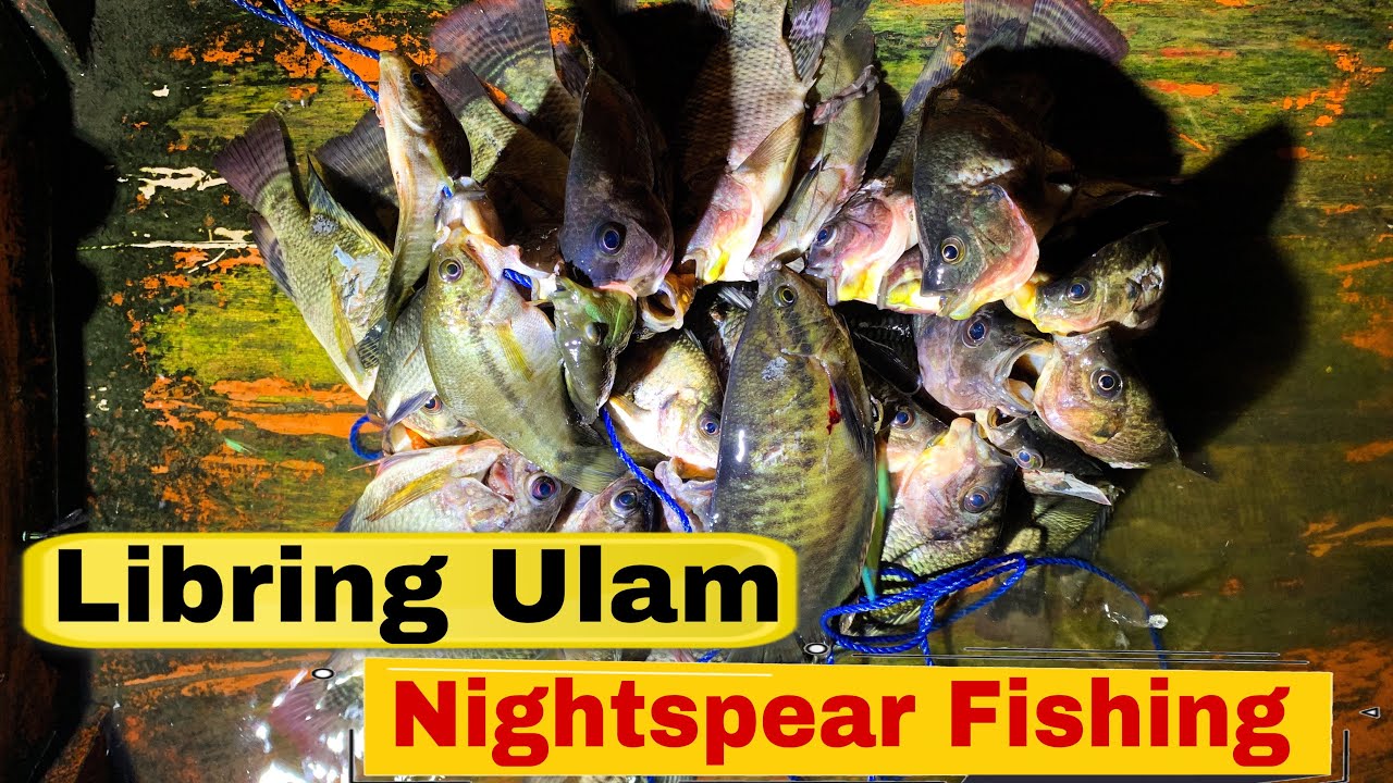 NIGHT SPEARFISHING | Sa sobrang linaw ng tubig parang umaga na ...