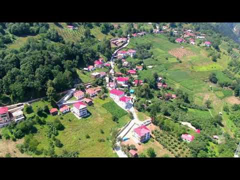 KUSERA -ORMAN ÜSTÜ-MAÇKA