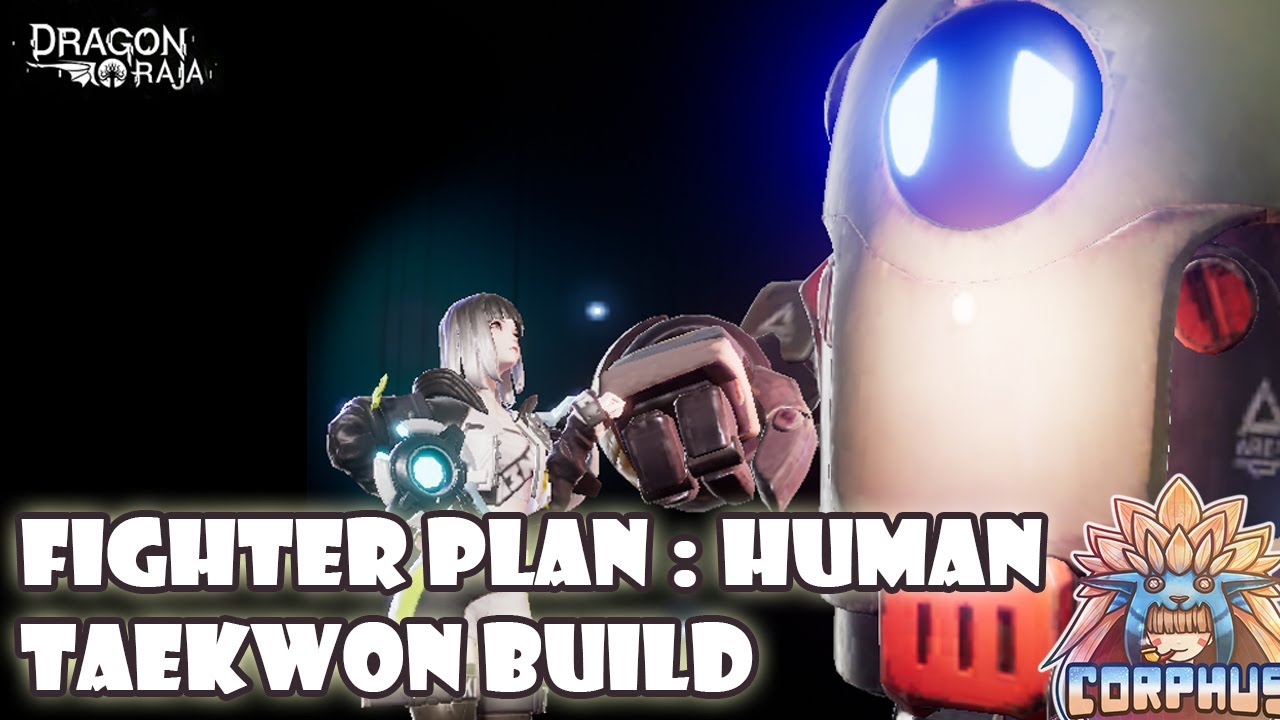 FIGHTER PERSONAL BUILD: HUMAN - Dragon Raja - YouTube