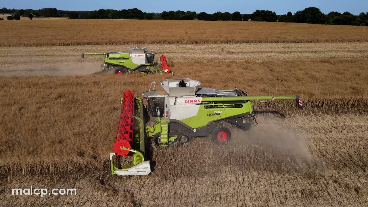 4k Harvest 2022: 2x Claas Lexion 780TT combines cutting OSR near ...