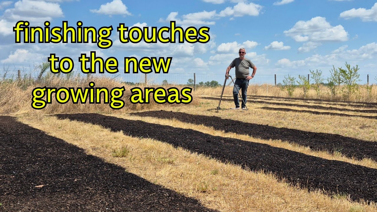 How We Are Turning This Empty Field Into a Garden! - YouTube
