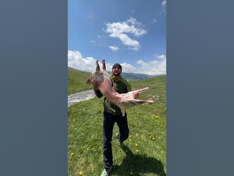 Сырне - блюдо из баранины🤤😍 - YouTube