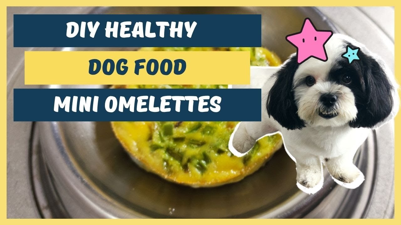 Egg Recipe for Dogs - Mini Omelettes - DIY Healthy Dog Food - YouTube