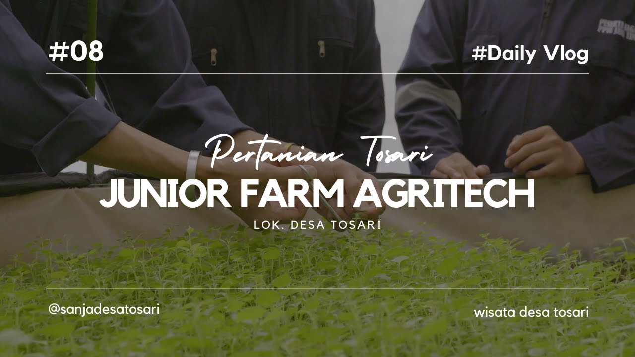 Junior Farm Agritech Desa TOSARI eps.08 - YouTube