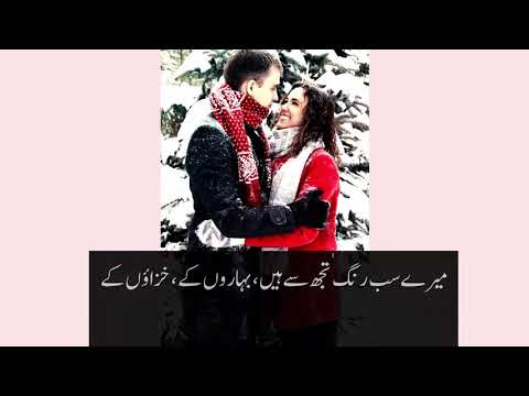 December Love Two Lines Poetry Video Status  | WhatsApp Couple Romantic Poetry | Urdu Shayari