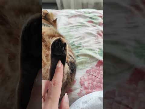 Щекотки и царапки 😃👍 - YouTube