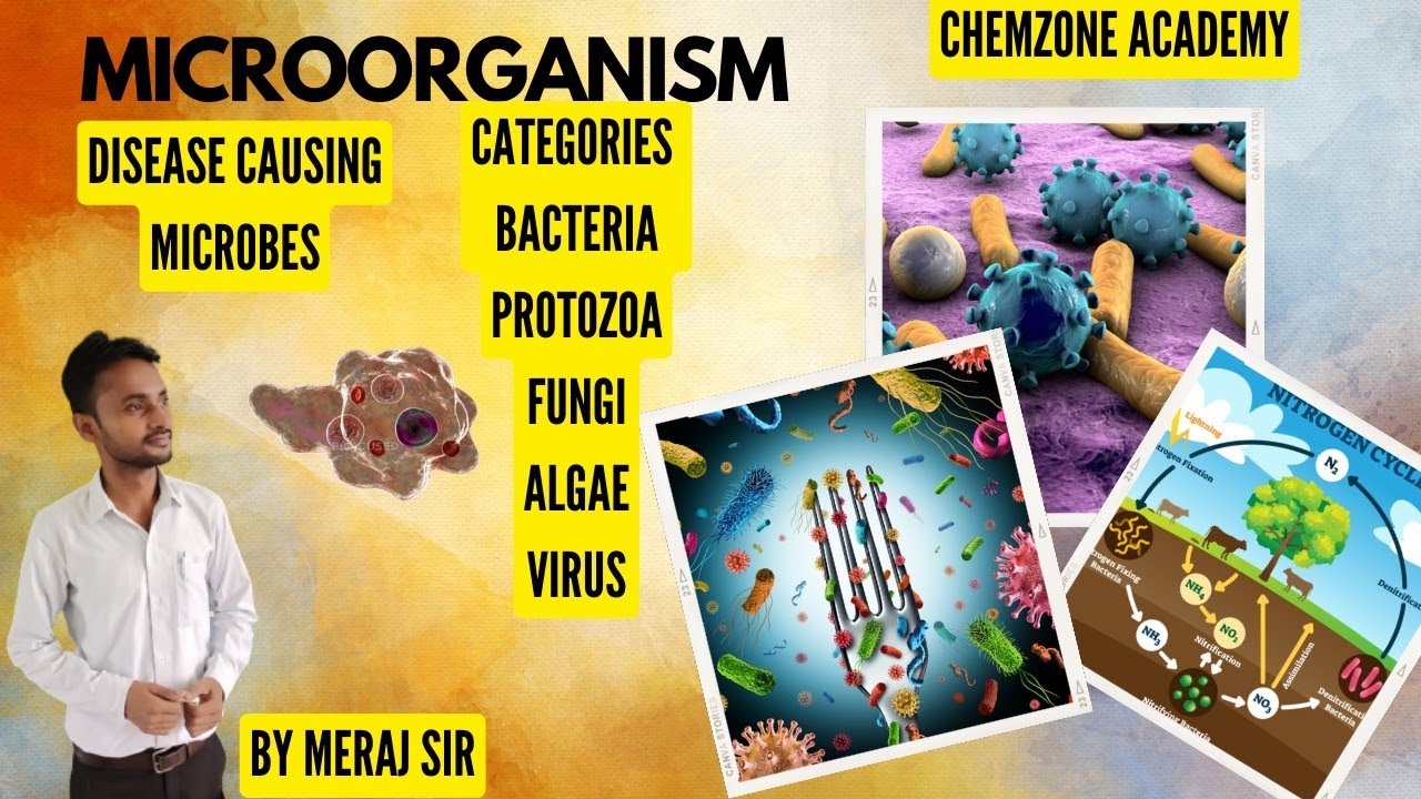 Microorganisms : friend or foe | class 8th | marathon for CTET and ...
