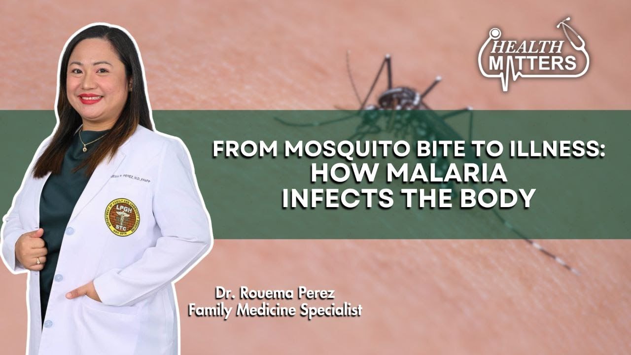 From Mosquito Bite to Illness: How Malaria Infects the Body | Health ...