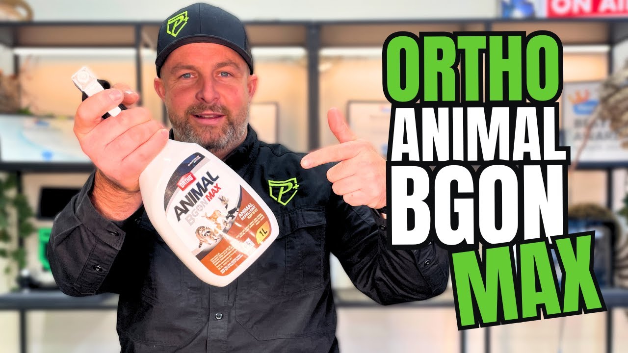 Animal Repellent Does it Actually Work? Ortho Animal B Gone - YouTube
