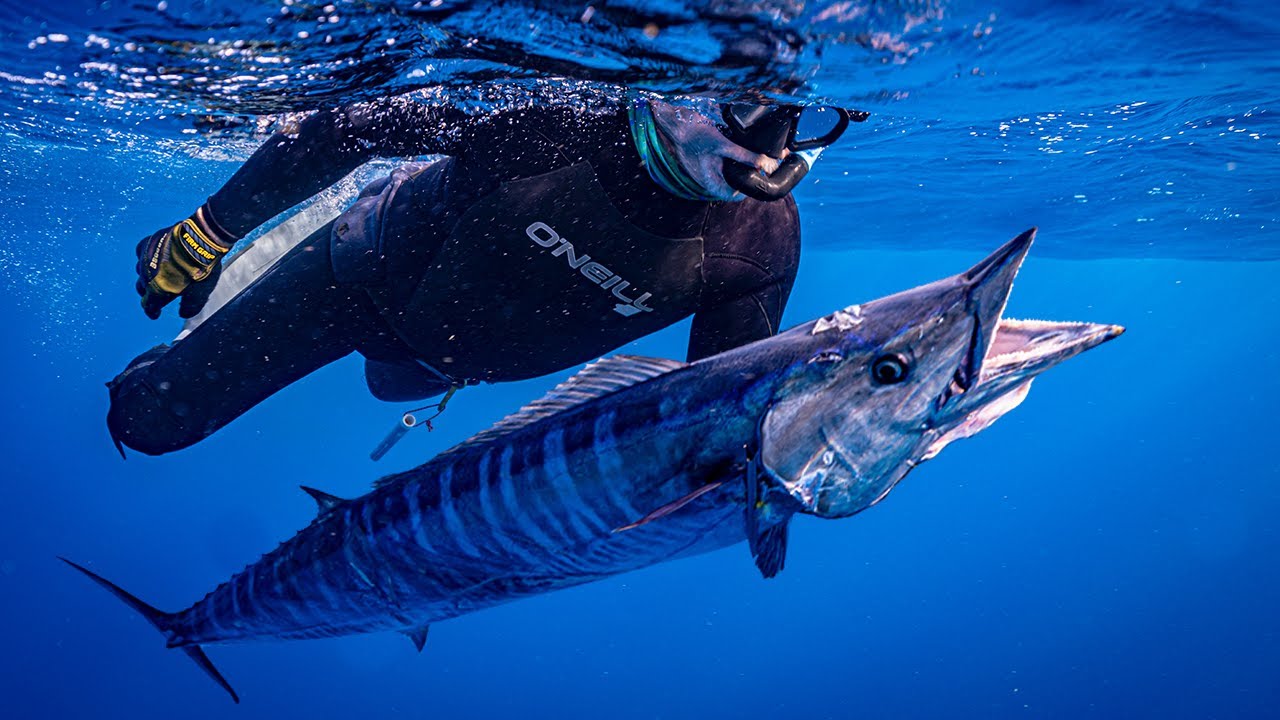 My Father’s FIRST WAHOO - Years of Challenges and Close Calls - YouTube