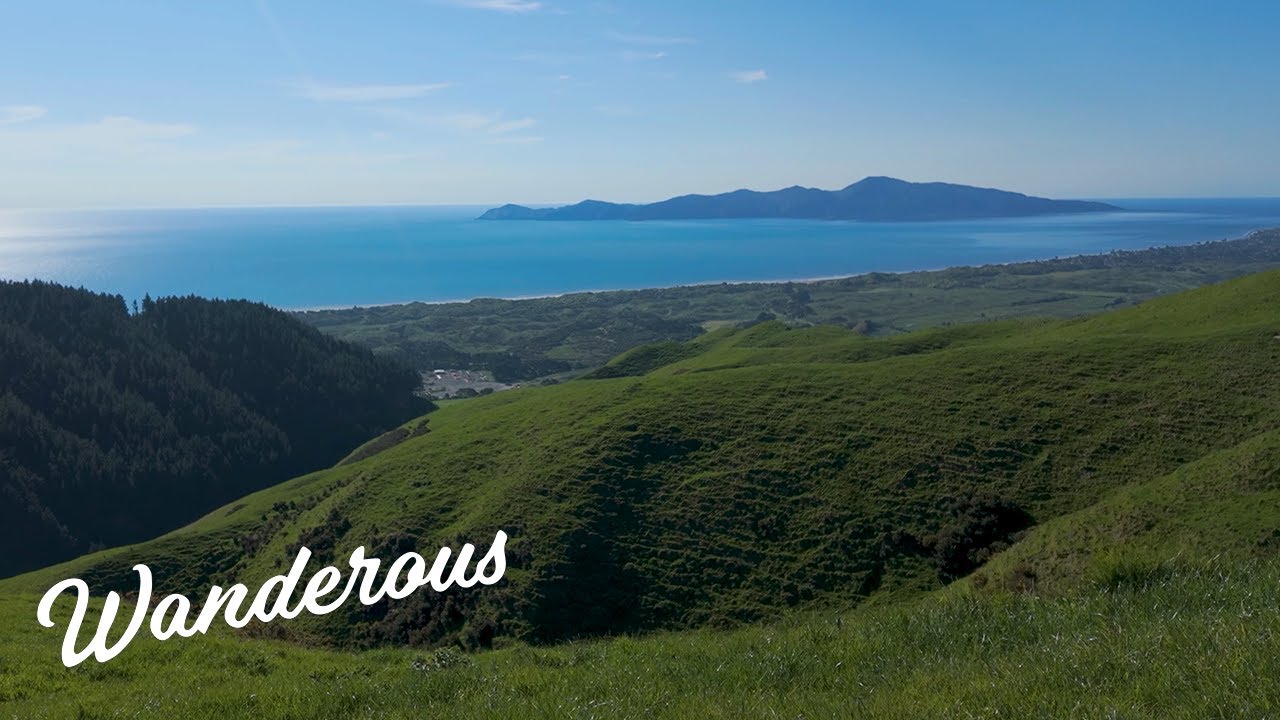 Walking The Rocks Loop at Whareroa Farm Reserve with spectacular ...