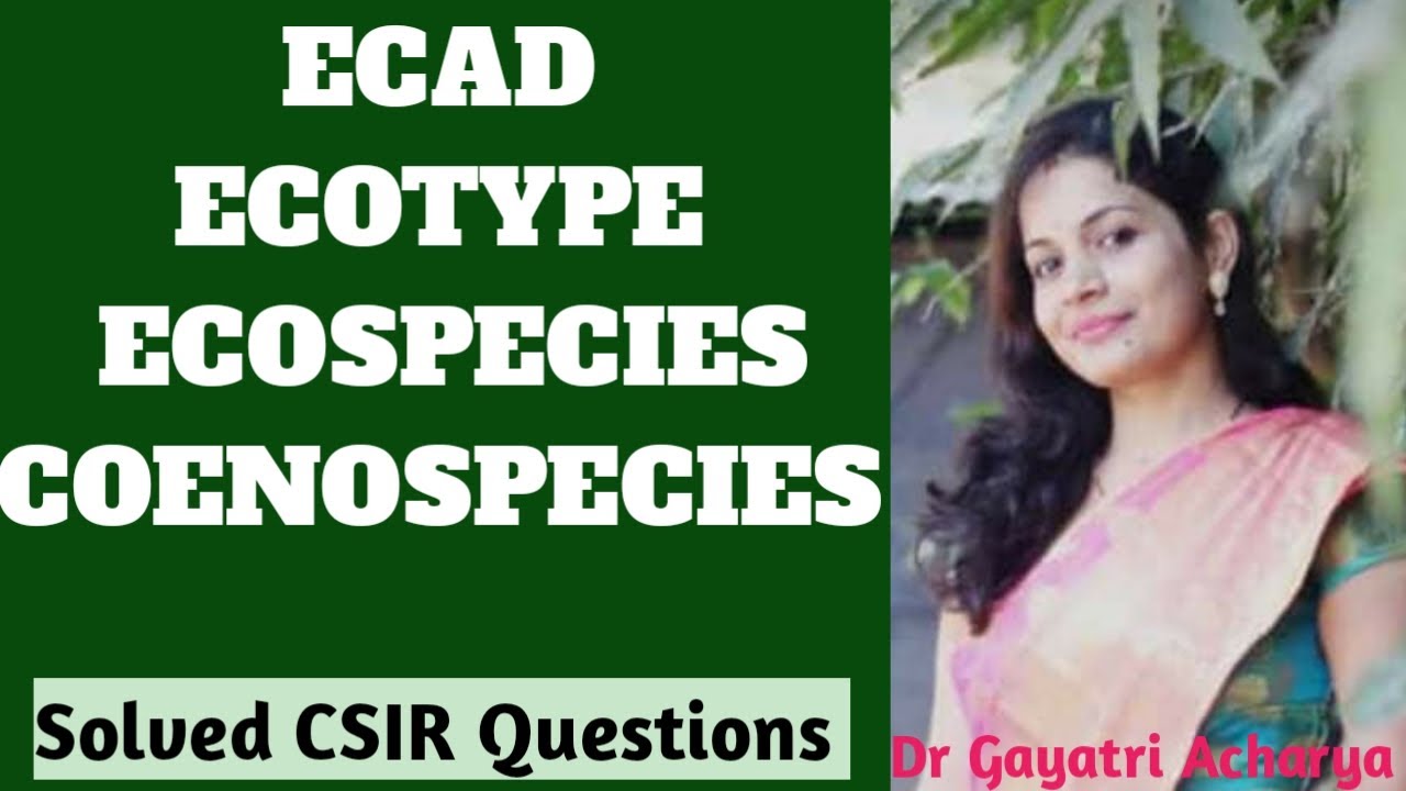 Ecads, Ecotypes, Ecospecies, Coenospecies/ Ecology/Dr Gayatri Acharya ...