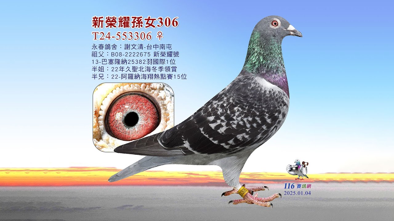 【永春-謝文清】T24-553306 - YouTube