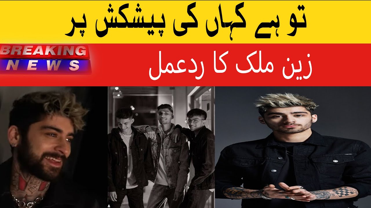 Zayn Malik Exclusive Insights Behind-the-Scenes of Collaborating with ...