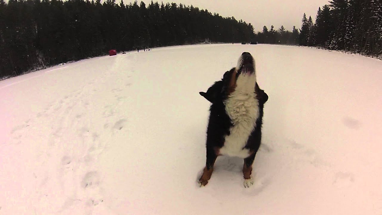 Ice Fishing Ottawa/Calabogie - YouTube