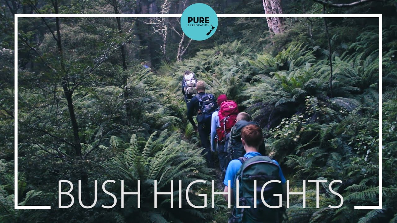 Bush/Hiking Highlights - Queenstown Adventure Guide Program - YouTube