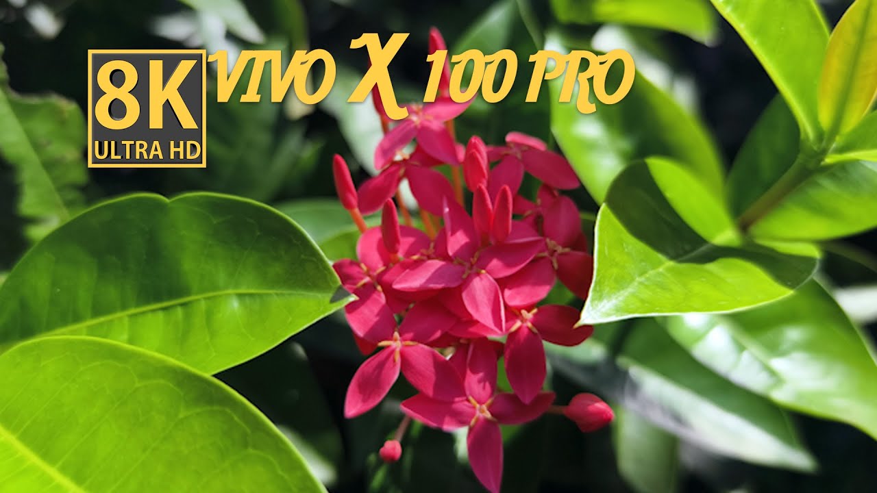 8K Video | VIVO X100 PRO - YouTube