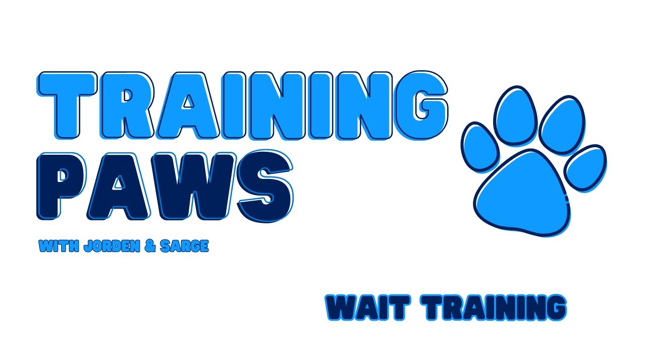 Wait Training - YouTube