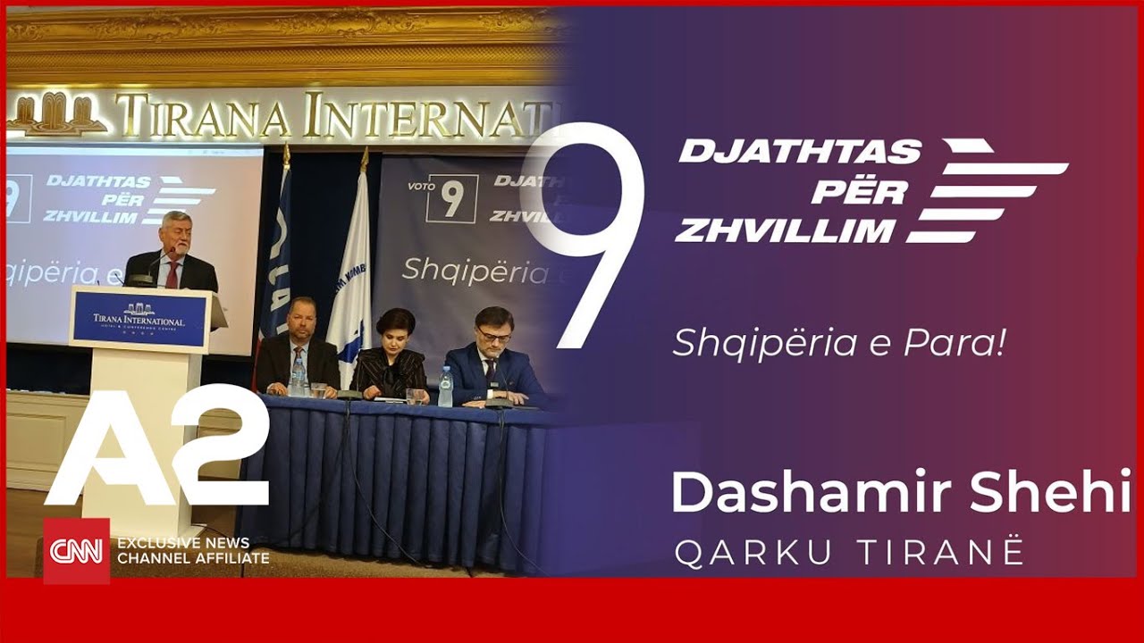 Çfarë fushate do bëj? Dashamir Shehi: Do doja të kisha lekë të bëja ...