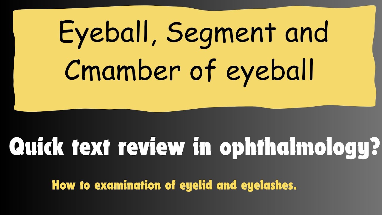 Quick Text Review of Eyeball, Segment and Chambers of Eyeball | Review ...