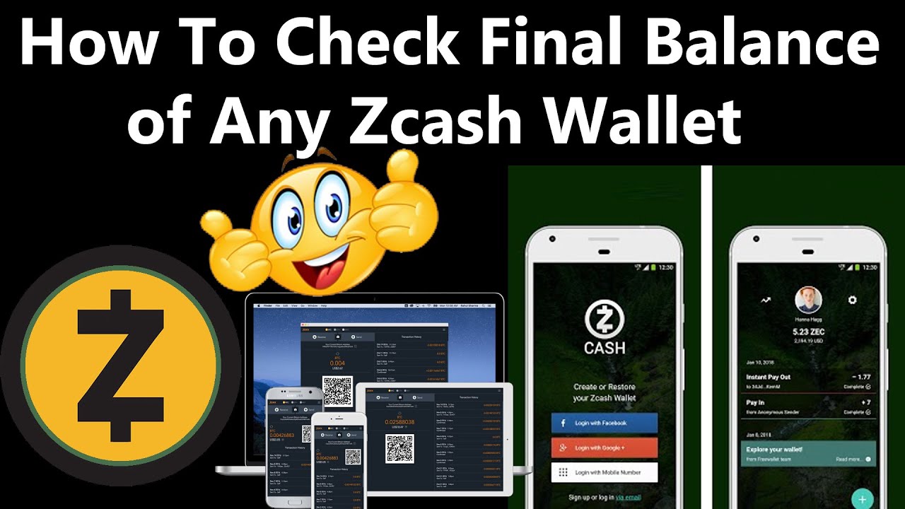 How To Check Final Balance of Any Zcash Wallet | Crypto Wallets Info ...