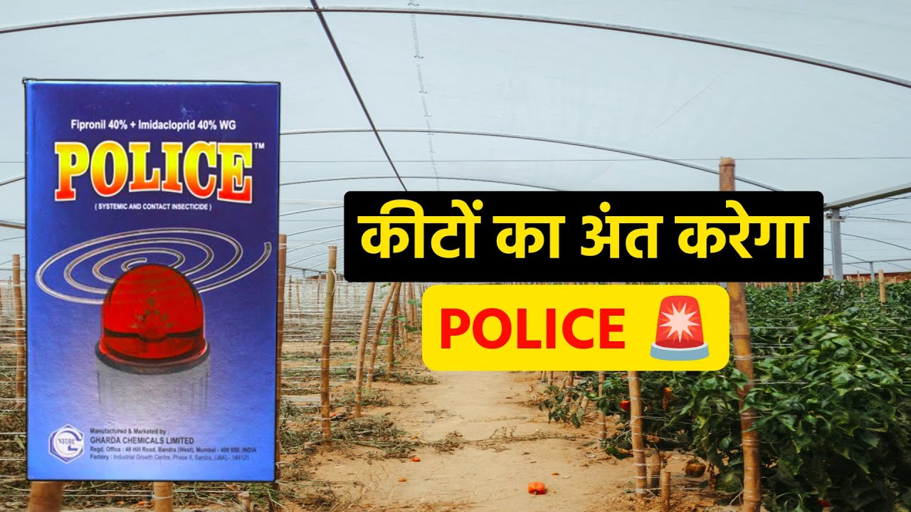Gharda police insecticide🚨 Fipronil 40% + Imidacloprid 40% - YouTube