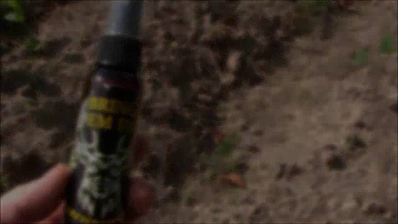 Bow Kill shot using TAP stabilizers! - YouTube