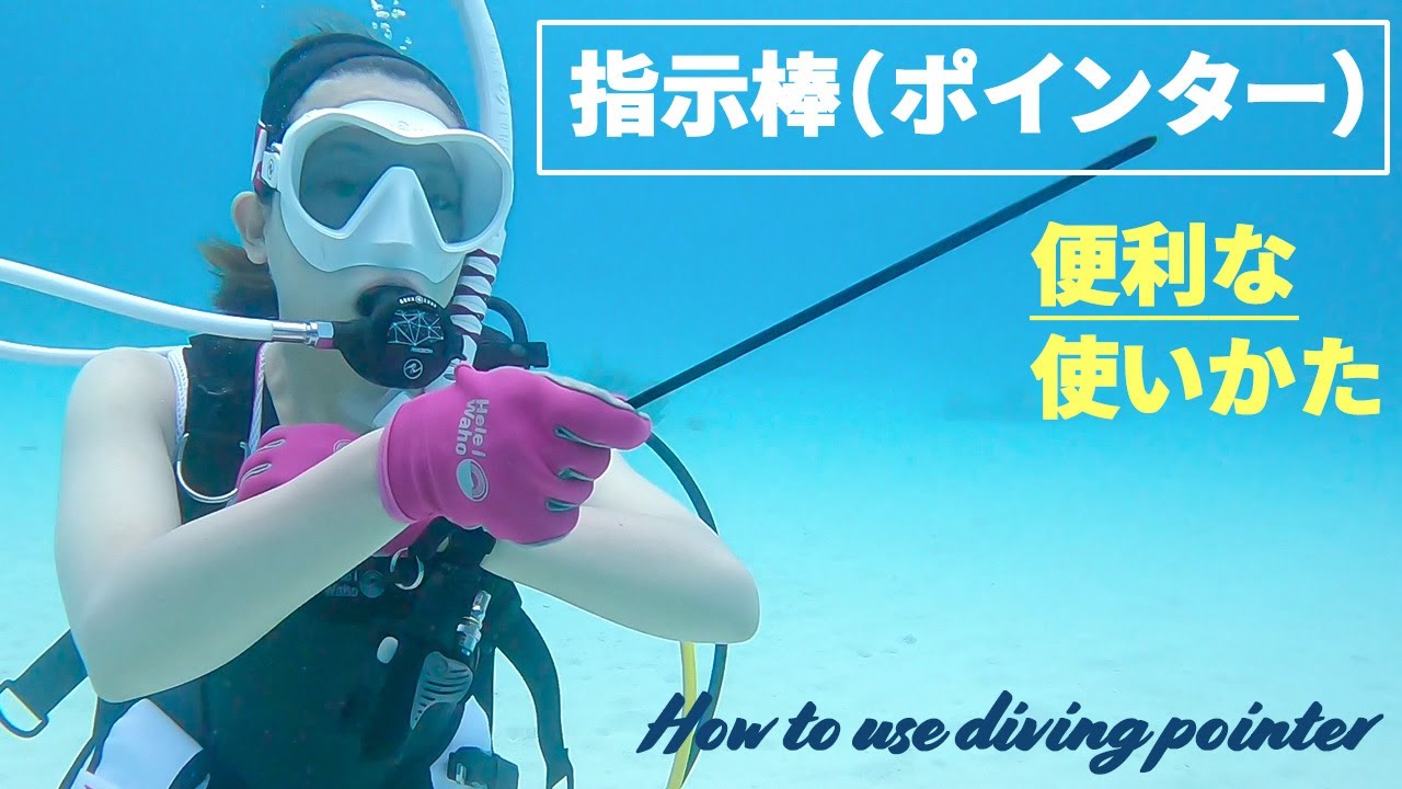 ダイビングの指示棒ポインターの便利な使い方などをご紹介 scuba diving pointer - YouTube