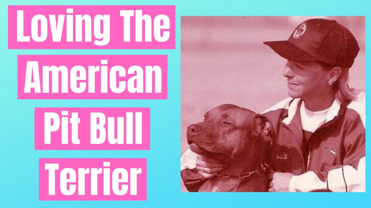 Inside The APBT World with Leri Hanson - YouTube