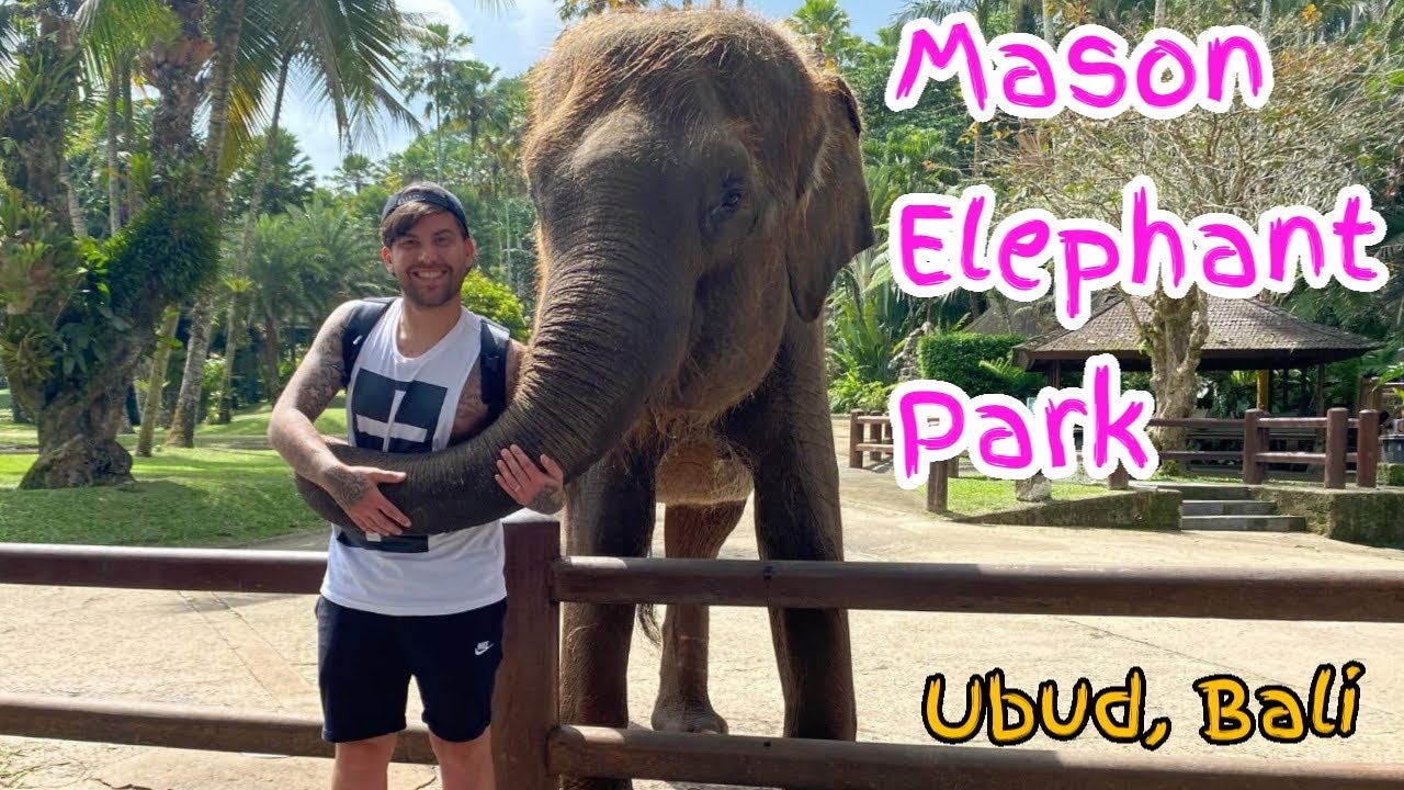 Mason Elephant Park | Elephant Sanctuary | Ubud Bali | 2022 | Best ...