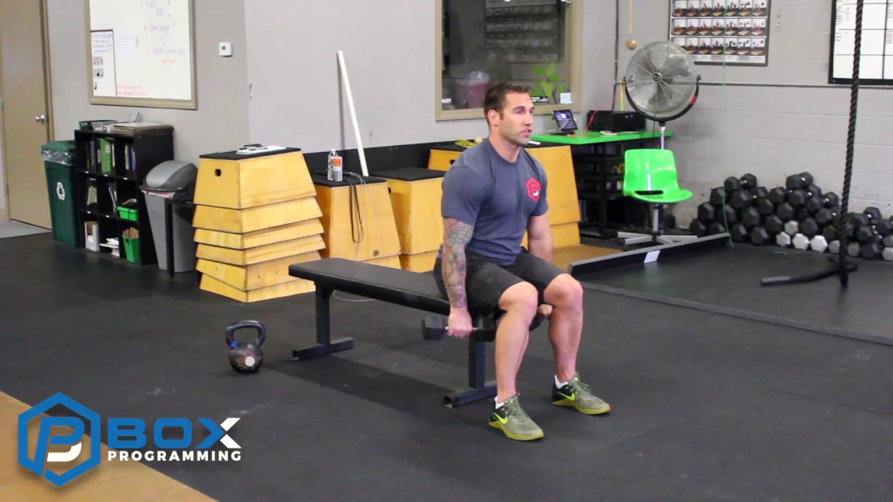 Seated DB Cleans - YouTube