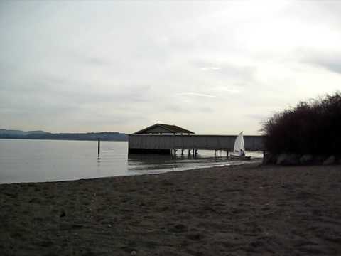 denny park seattle - YouTube