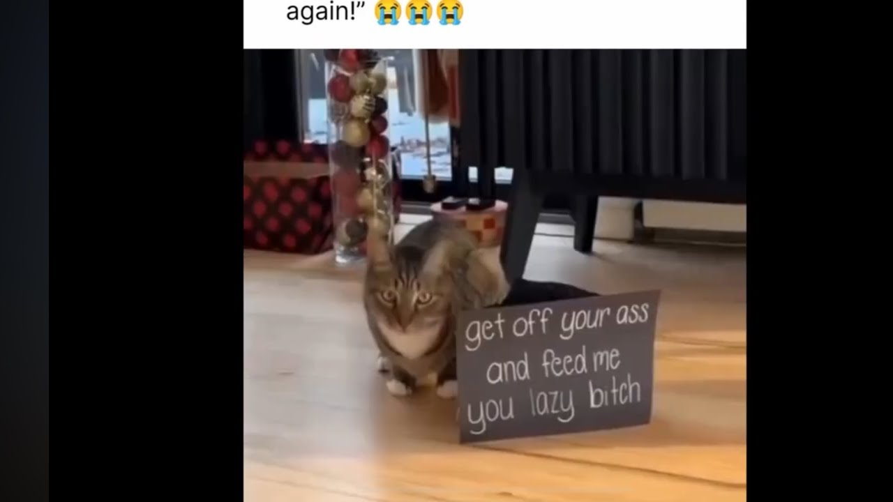 Funny Comp. #2 - YouTube