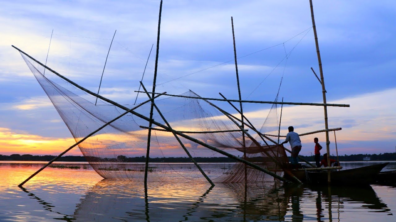 Amazing Lift net fishing in beel | In twilight afternoon fisherman are ...