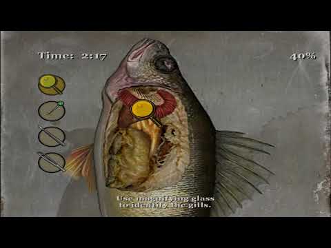 Bully Scholarship Edition - Biology Class 3 - YouTube
