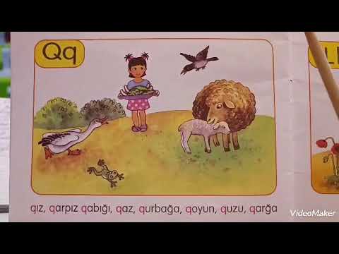 Q q hərfi ilə başlayan sözlər
