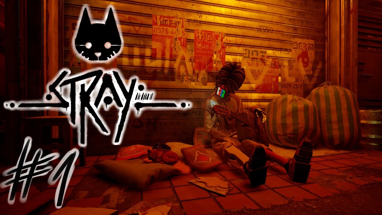 Stray #1 - *delighted meows* - YouTube